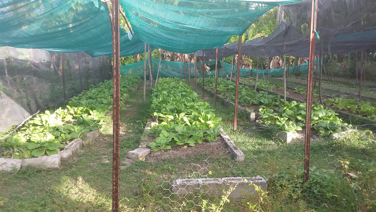 Kiribati Adventist school making a difference in students’ lives ...