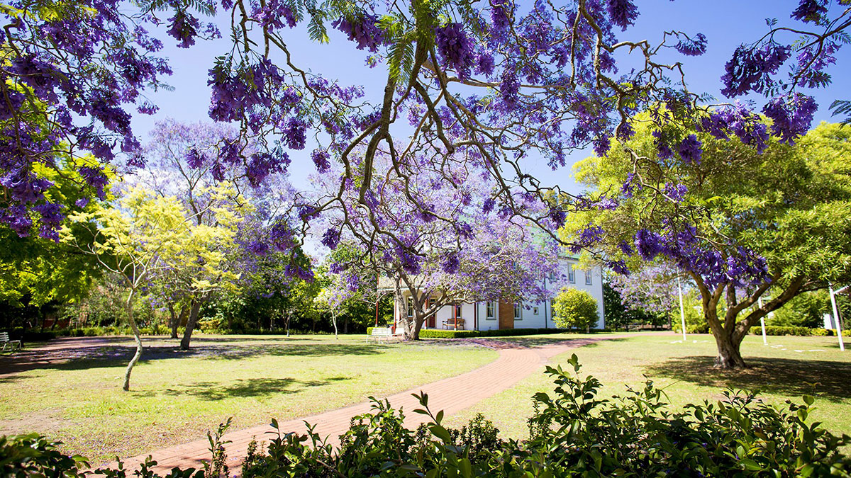 Meet Avondale’s new president – Adventist Record